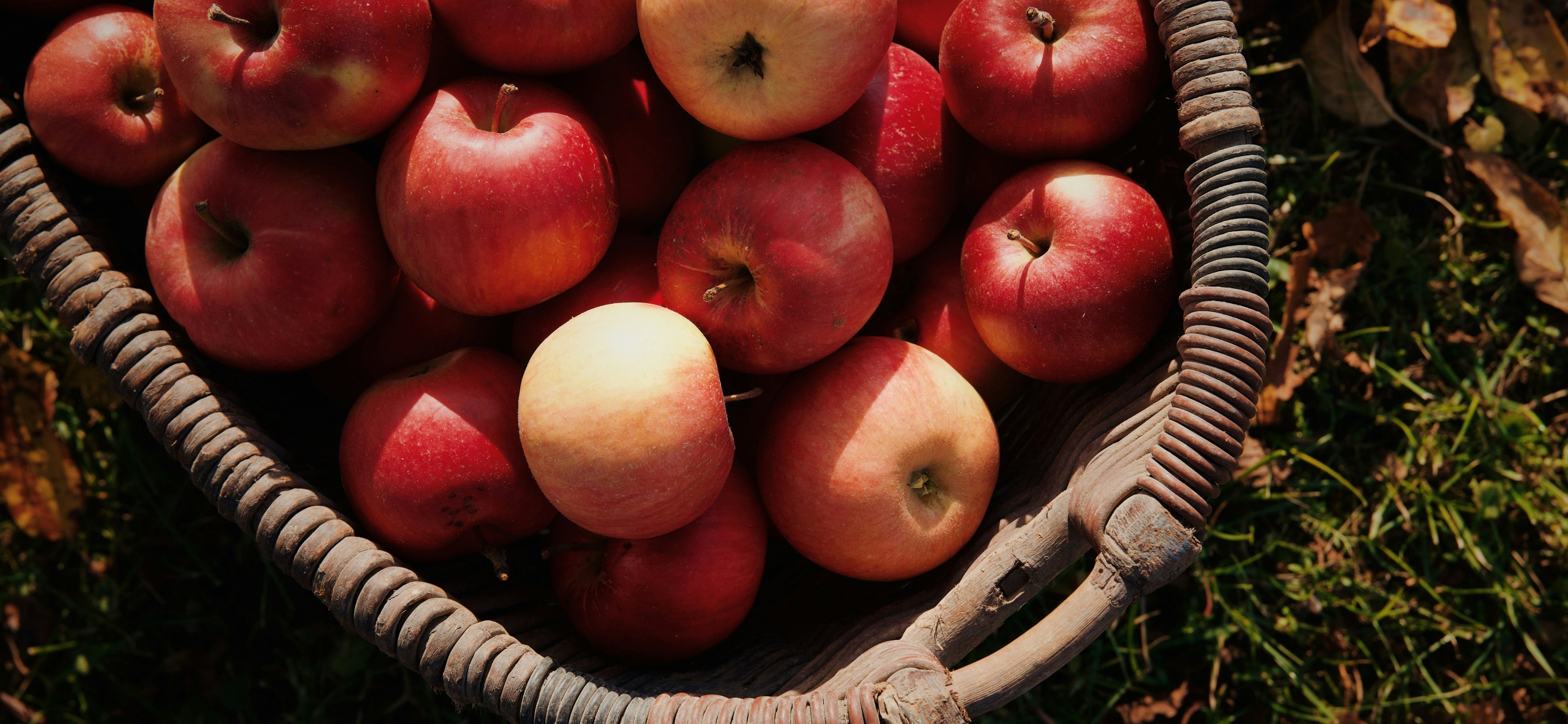 Autumnal Apple Crisp | Piglet in Bed UK
