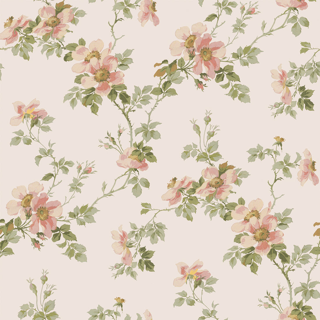 Cream Blush Field Rose Wallpaper | Piglet in Bed UK